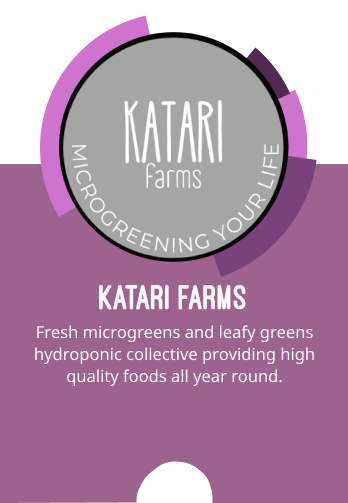 Circles UBI – A basic income system for communities